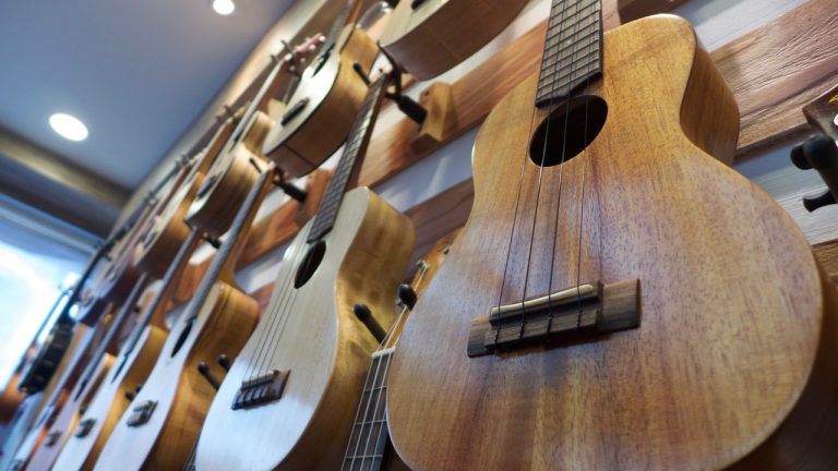 Ukulele Explained: All You Need To Know | Consordini.com