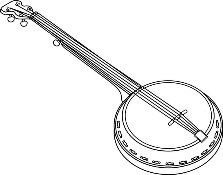 What Exactly is a Banjo? History, Parts and Much More