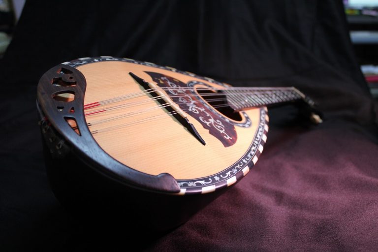 What exactly is a mandolin? - Consordini.com