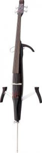 Top 10 Best Cello Brands: Beginner & Student Cello Reviews 2024