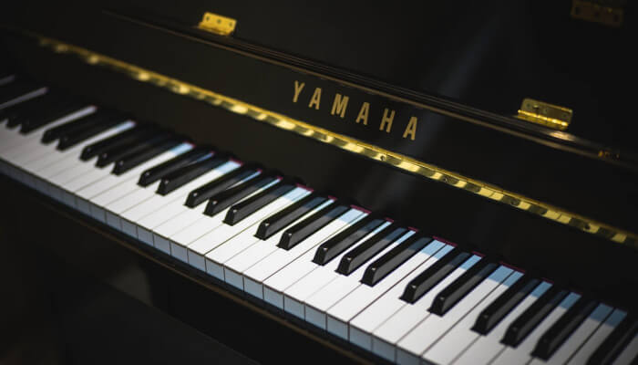 10 Most Difficult Musical Instruments to Learn (Ranked)