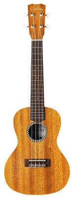 15 Best Ukulele Brands & 16 Best Beginner Ukulele Reviews (2019)